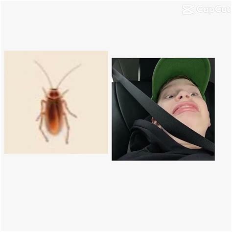 Roach Meme Funny Youtube