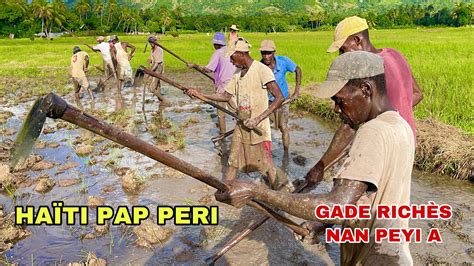 Sa Fenk Tonbe Gade kijan yon Gwoup Plantè nan Saint Louis Du Sud ap