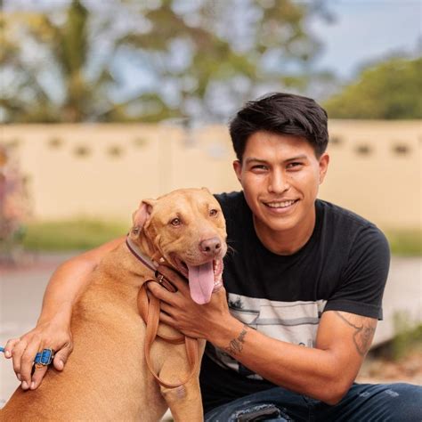 Mindy Dutka On Linkedin In The Care Lies The Cure A Free Sterilization Clinic In Playa Del…