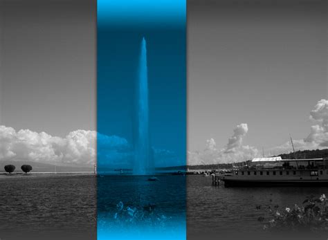 B Stone B Stonech You Search We Find