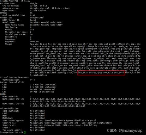 使用oneapi测试 Intel Cpu和gpu Resnet 50v15 英特尔® Oneapi 黑客松大赛oneapi检测所有cpu