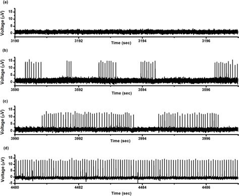 Electrical Activity Patterns Observed From A Depressor Nerve Resting