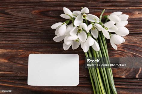 나무 테이블에 아름다운 Snowdrops와 종이 카드 평평한 누워 텍스트를 위한 공간 0명에 대한 스톡 사진 및 기타 이미지 0명 갈란투스 계절 Istock