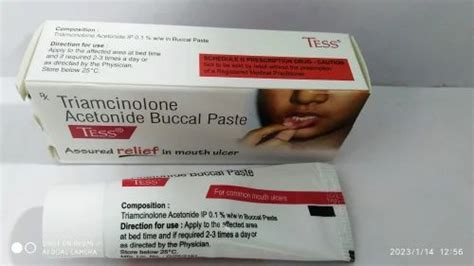 Tess Triamcinolone Oromucosal Paste Bp 0 1w W Packaging Type Box Packaging Size 5 G At ₹ 90