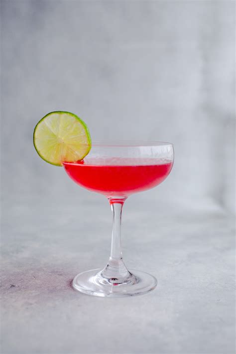Hibiscus Tequila Cocktail Recipe Salted Plains