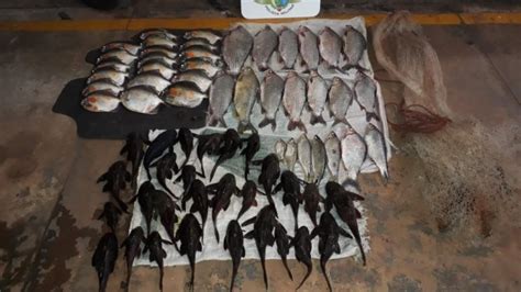 Pma Flagra Grupo Praticando Pesca Ilegal No Rio São José Dos Dourados