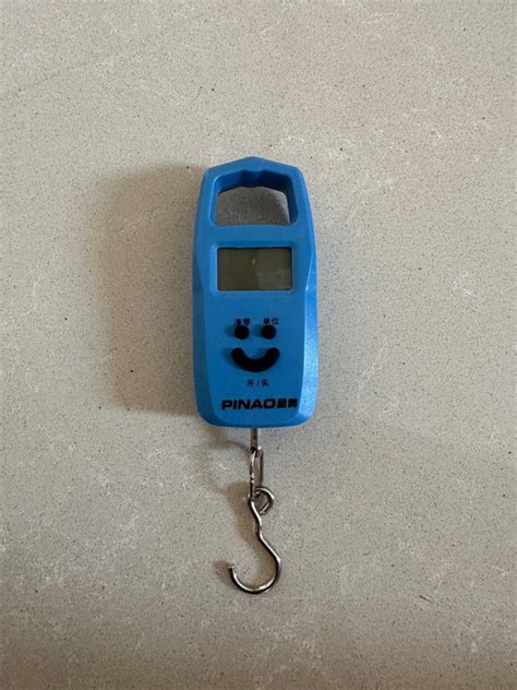 Portable Handheld Scale Health And Nutrition Health Monitors And Weighing