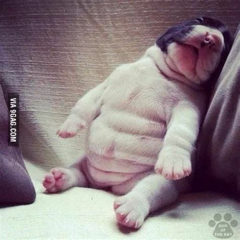 Abs Abs 9gag