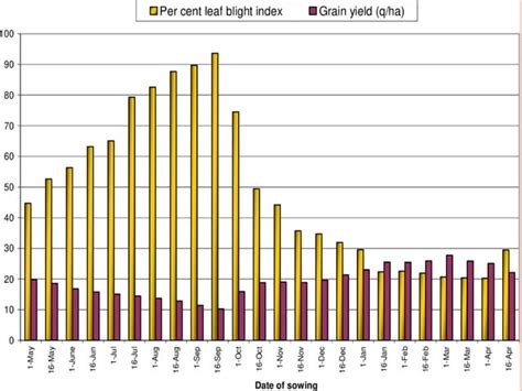 Turcicum Leaf Blight Of Maize Pptx