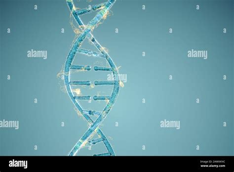 Dna And Chromosomes Genes And Inheritance D Rendering Computer Digital Drawing Stock Photo Alamy