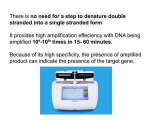 Loop Mediated Isothermal Amplification PPTX Chemistry Science