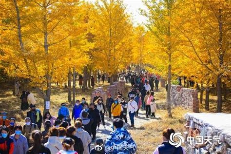本周冷空气频繁，全国大部地区气温下滑海南岛降水云南