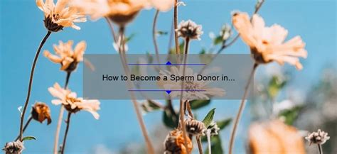 How to Become a Sperm Donor in California: The Step-by-Step Guide - Sperm.Blog