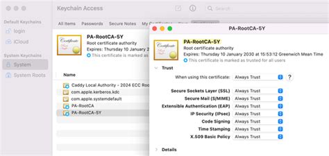 Palo Alto How To Configure Ssl Decryption