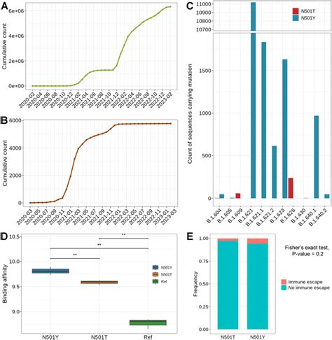 Comparative Analysis Of N501y And N501t Mutations On Sars Cov 2 Spike