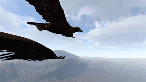 Aquila Bird Flight Simulator On Steam