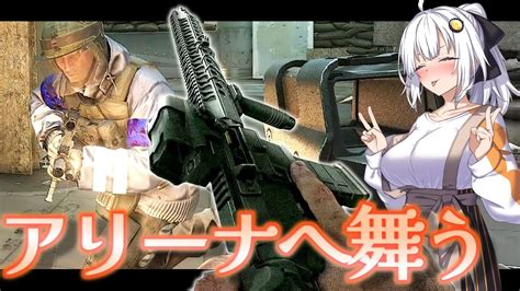 【eft】 233 さらに遊びやすくなったタルコフアリーナ！ワイプ後の本編pvpの練習に如何です？【タルコフ紲星あかり】 Youtube