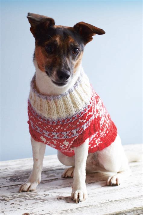 Dog Coat Knitting Pattern The Knitting Network