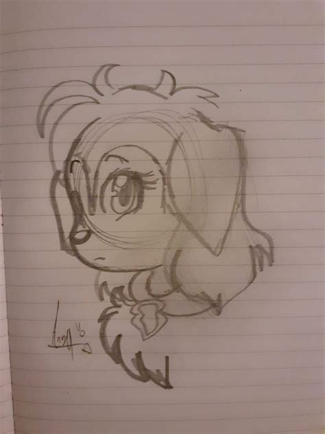 My Oc D 🐾paw Patrol Amino
