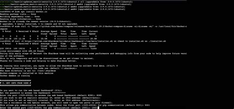 Hướng Dẫn Chạy Node Dự án Shardeum Dành Cho Người Mới