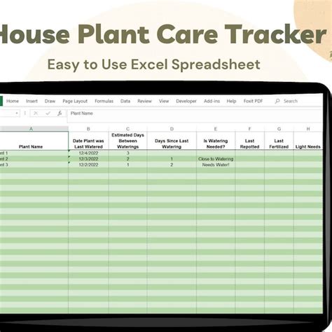 Excel House Plant Etsy