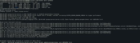 turning on async byteps enable async crashes the bps server · issue