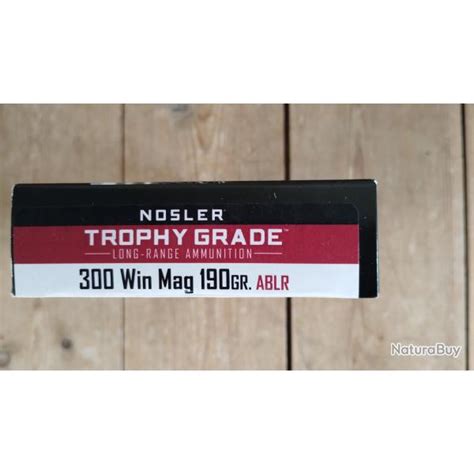 300 Win Mag Nosler Trophy Grade 190gr Ablr Sp Bte 20 Balles Calibre