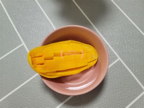 강아지망고 먹어도 될까 주의사항 급여량 네이버 블로그