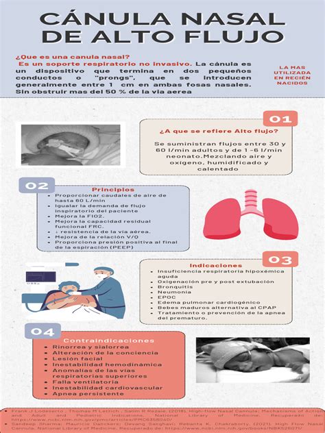 Alto Flujo Nasal Protocolo Cánula Nasal De Alto Flujo Berysv