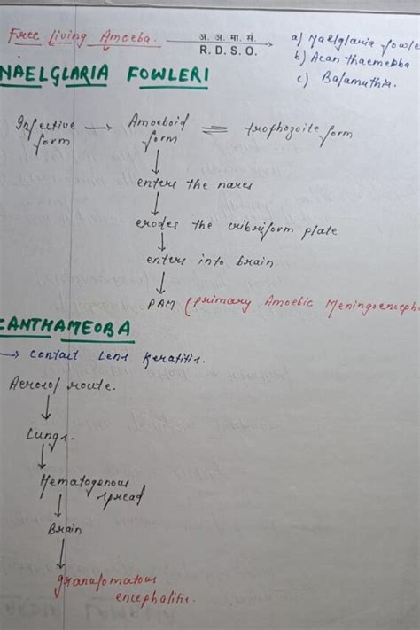 Urea Cycle Notes Pdf Best Handwritten Notes For Mbbs Neet And
