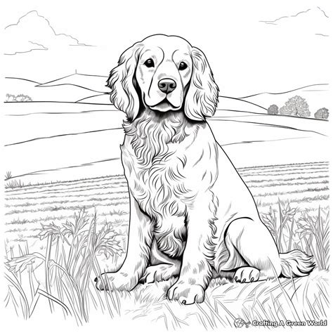 Cocker Spaniel Coloring Pages Free And Printable