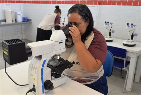 Seduc Prepara Pss Para Vagas De Cursos Técnicos Em Nível Médio O Que