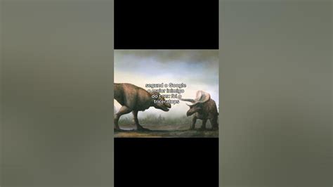 Curiosidades Sobre Os Dinossauros Parte 4 Youtube