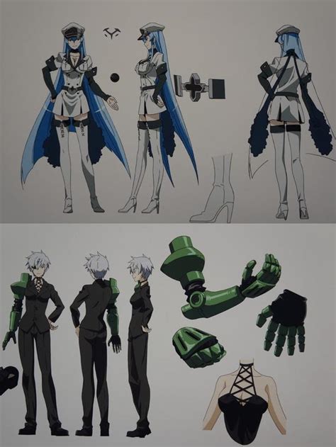 Official Esdeath And Najenda Character Sheet Akamegakill