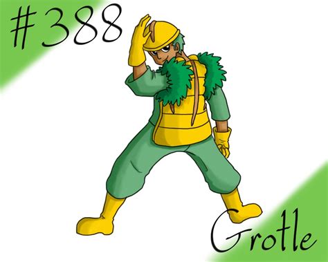 Grotle Pokemon People Wiki Fandom