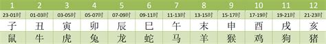 【传统文化】十二生肖与十二时辰的搭配 知乎