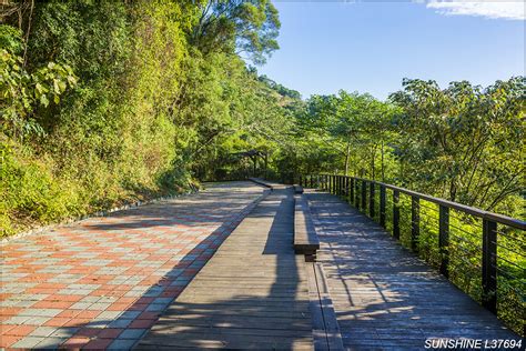 L37694紫蝶幽谷茂林生態公園茂林賞蝶步道姿沙里沙里步道紫斑蝶蝴蝶茂林國家風景區高雄市茂林區 A Photo On