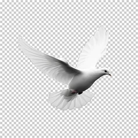 Colombe Religieux Psd Modèles Psd Gratuits De Haute Qualité à