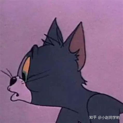 50张 ，猫和老鼠（汤姆和杰瑞）情侣头像，搞笑 可爱，快来换头像！！！ 知乎
