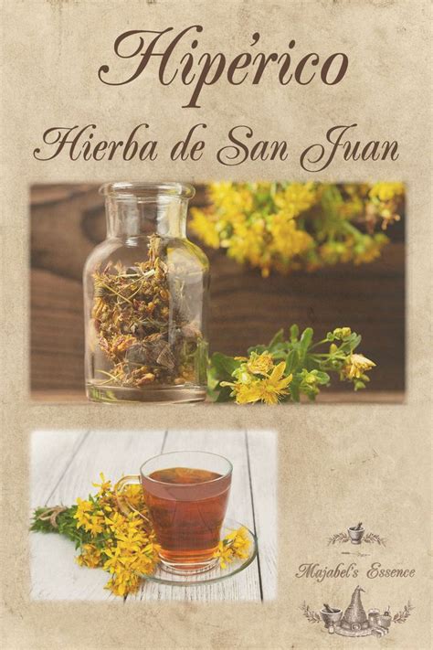 Pin En Plantas Medicinales