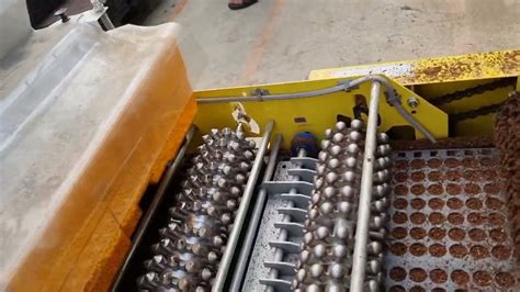 미노루 양파파종기 코팅종자 죽암기계 Youtube