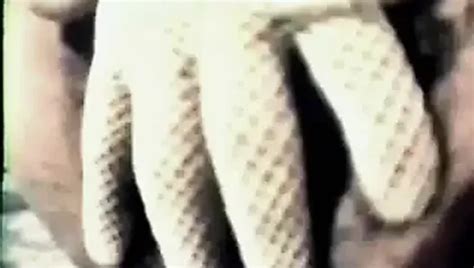 Kellie Everts Hairy Monstercunt Xhamster