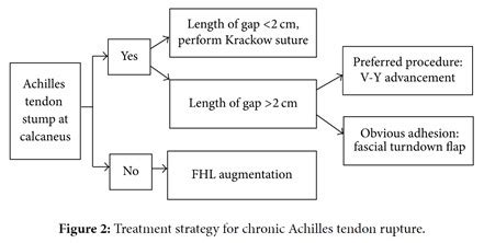 Achilles Rupture Physiopedia