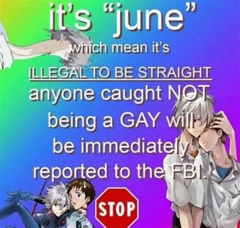 Its Fucking Pride Month Its June Which Mean Its Illegal To Be