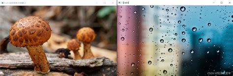 【opencv】—roi区域图像叠加and图像混合opencv图像叠加 Csdn博客