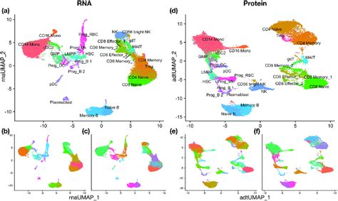 Umap Visualization For Hbmc Data And The Clustering Results A True Download Scientific