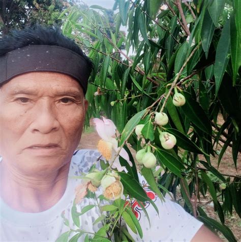 ถนนสายใหม่ ดอกกุหลาบ ดอกไม้ของคนวันอาทิตย์ การเลือกปลูกดอกไม้ให้ตรงกับวันเกิด นอกจากจะช่วย