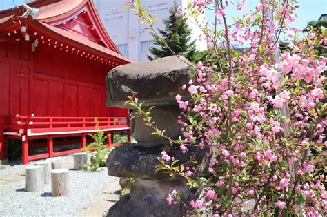 境内の花がたくさん咲いています。｜廣田神社〜病厄除守護神〜｜青森県青森市