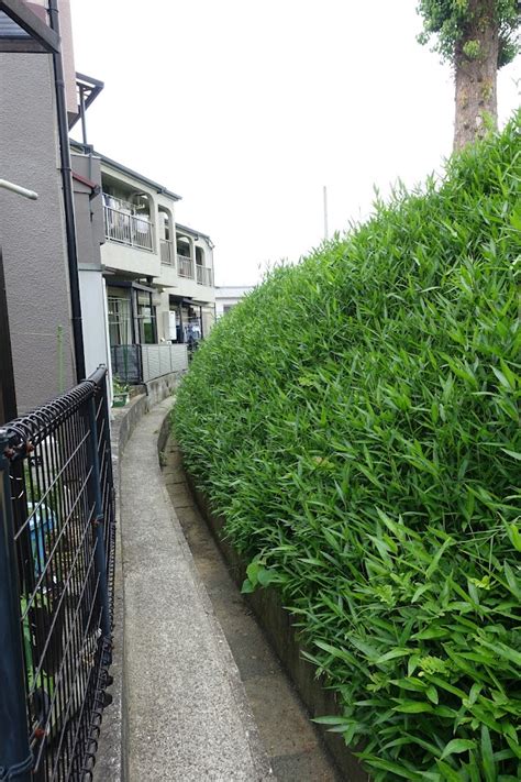 稲荷塚古墳 大阪府藤井寺市野中 墳丘からの眺め