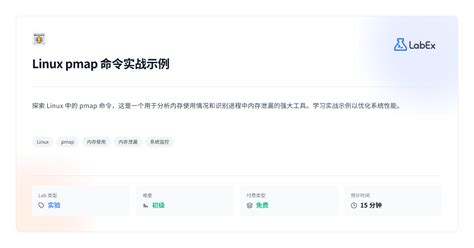 linux pmap 命令实战示例 内存分析与优化 labex